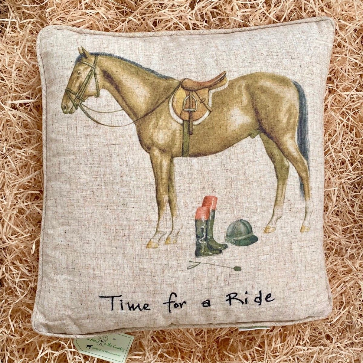 Large Time for a Ride Cushion - www.athomeinthecountry.co.uk